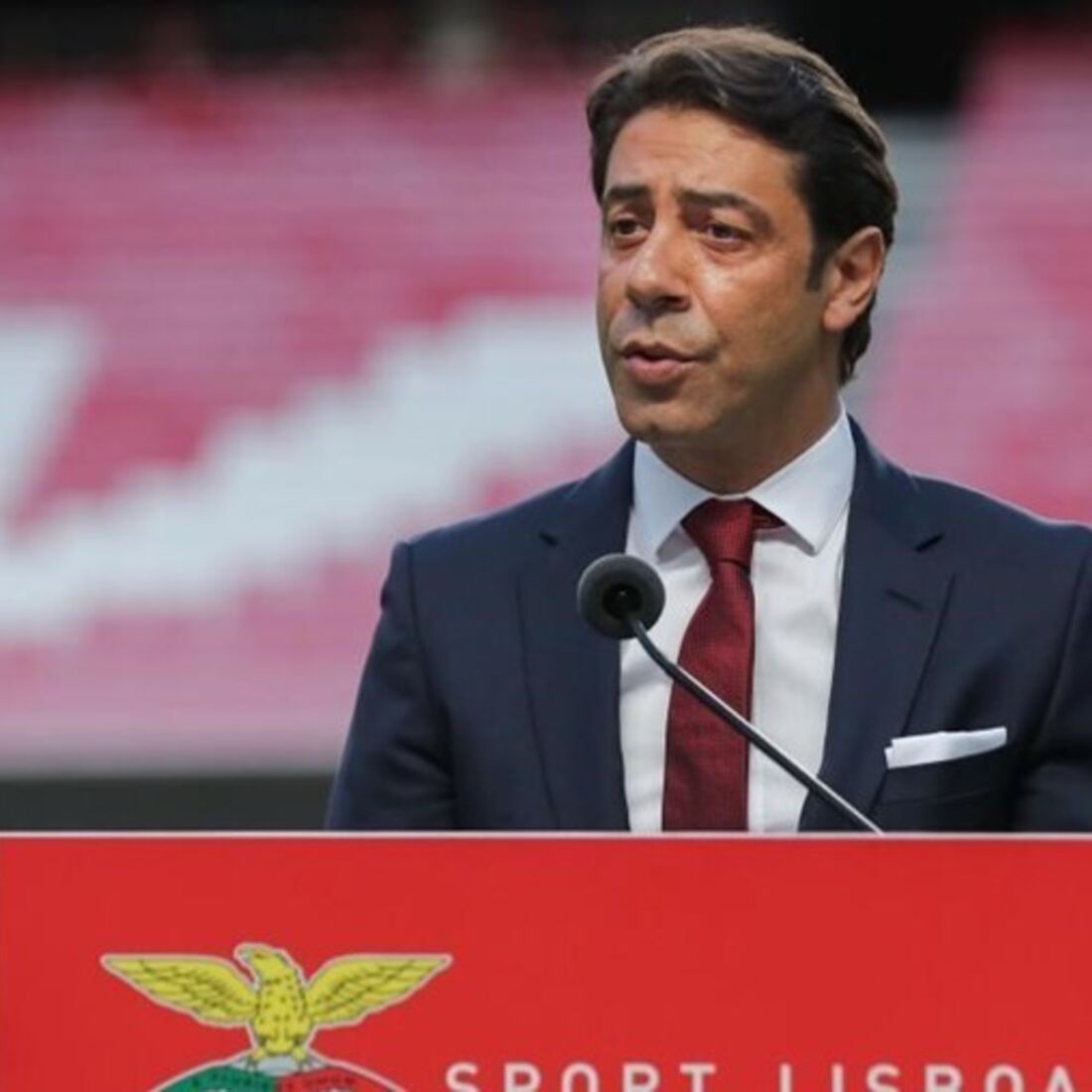 Maestro amado: Rui Costa recebe apaixonada declaração da mulher ...